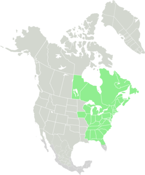 American cancer-root - CreationWiki, the encyclopedia of creation science