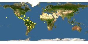 Green iguana - CreationWiki, the encyclopedia of creation science