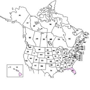 Cuban tree frog - CreationWiki, the encyclopedia of creation science